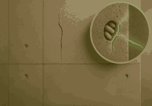 Hormigón autorreparable para casas eficientes